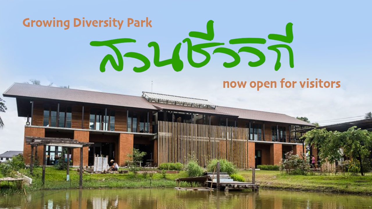 Join Us for the Grand Opening of Growing Diversity Shop&Café by FoodforChange! – BioThai